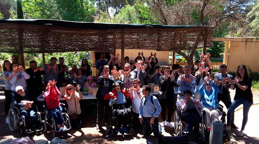 red-electrica-1 - Volies